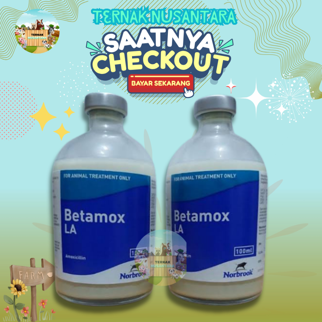 Jual Betamox LA 100ml - Antibiotik Untuk Pencernaan Pada Hewan | Shopee ...