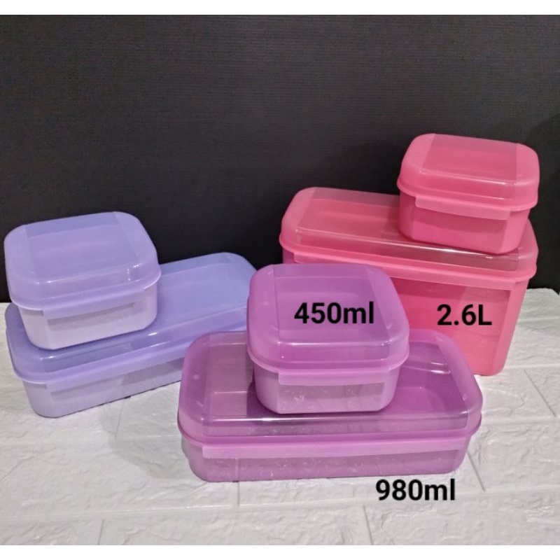 Jual fancy signature handy box tupperware kotak bekal 980 ml | Shopee ...