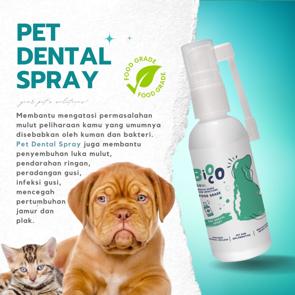 Jual Obat Mulut Kucing / Luka dan Infeksi Mulut / Plak / Jamur pada ...