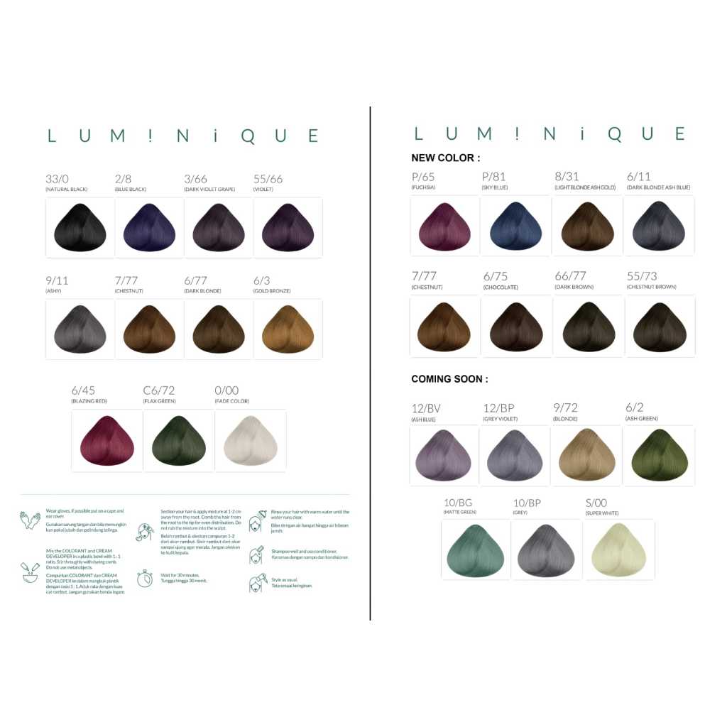 Jual Luminique Color Chart Digital 1 st Edition katalog warna warna rambut | Shopee Indonesia