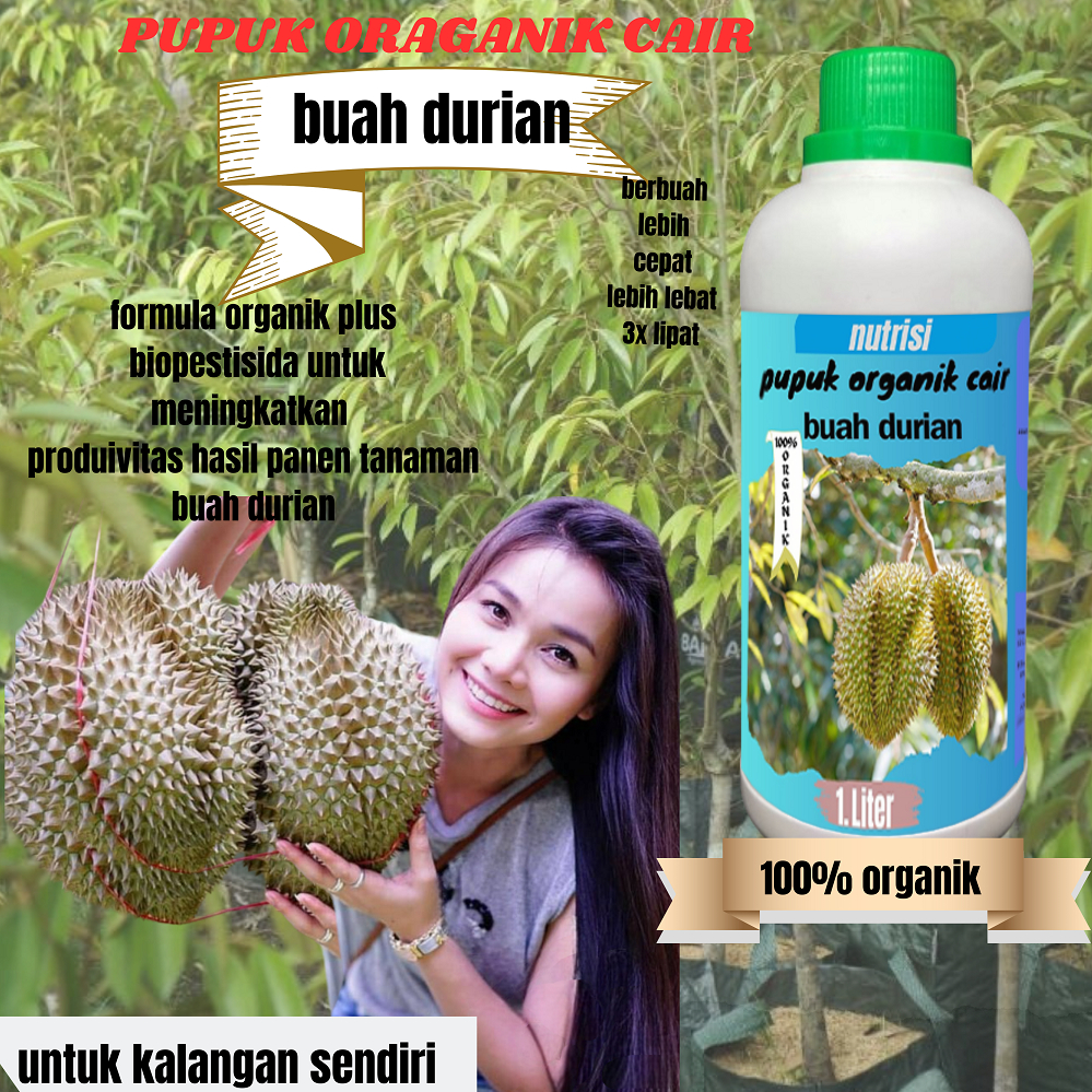 Jual Pupuk Durian Masa Pertumbuhan Pupuk Durian Cepat Berbuah Nutrisi Obat Durian | Shopee Indonesia