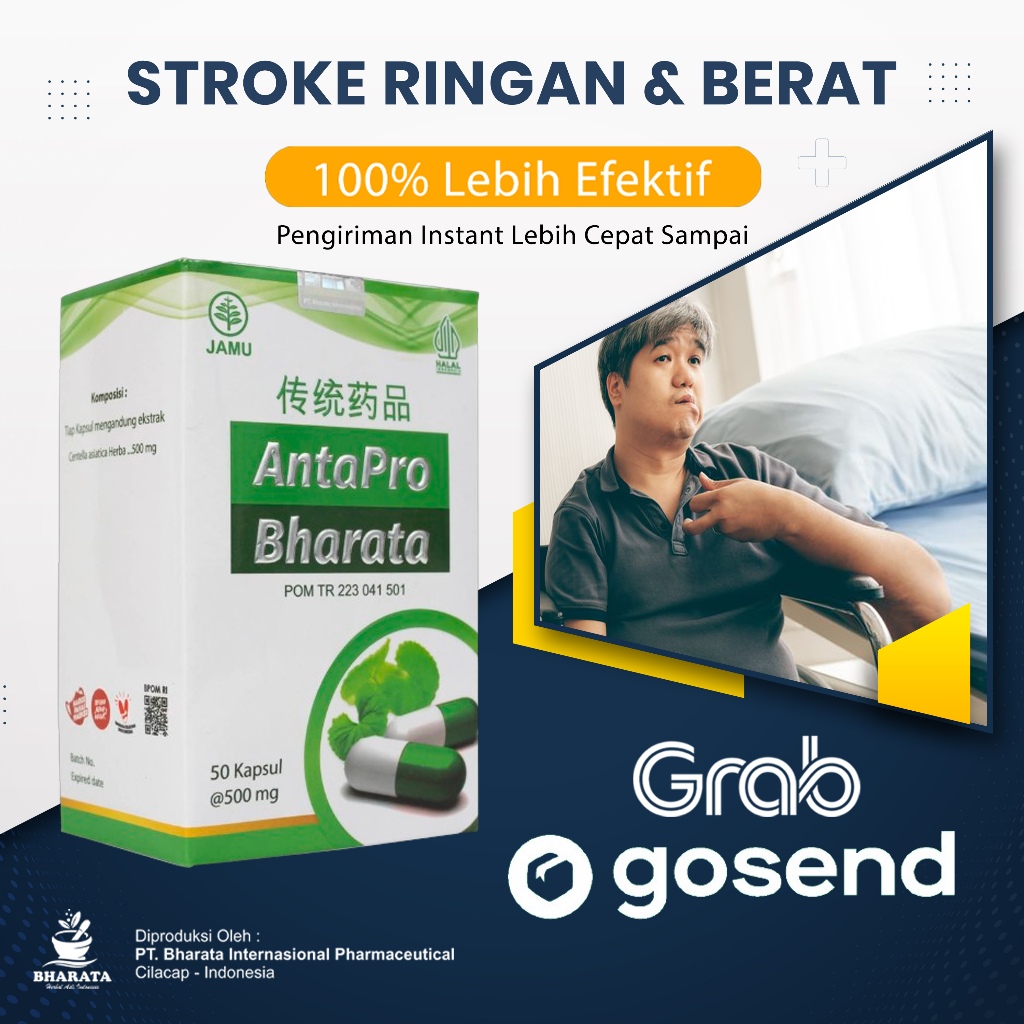Jual Obat Stroke Premium Obat Stroke Ringan Berat Kolesterol Darah ...
