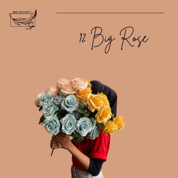 Jual (TT) 11 KUNTUM BIG ROSE SPRAY ROSE BUCKET PREMIUM ROSE BINTANG ...