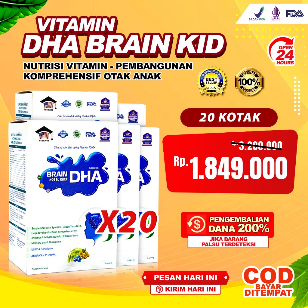 Jual ( OFFICIAL 100% ) COMBO 20 BOXES DHA BRAIN KID - VITAMIN NUTRISI ...