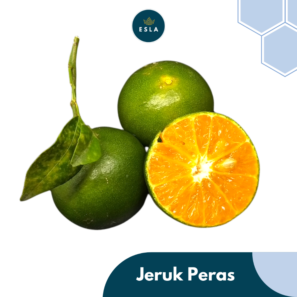 Jual JERUK PERAS 1 KG I Buah Fresh dan Premium - ESLA | Shopee Indonesia