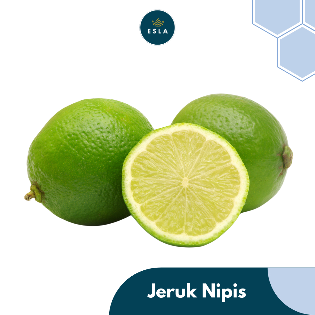 Jual JERUK NIPIS 1 KG I Buah Fresh dan Premium - ESLA | Shopee Indonesia