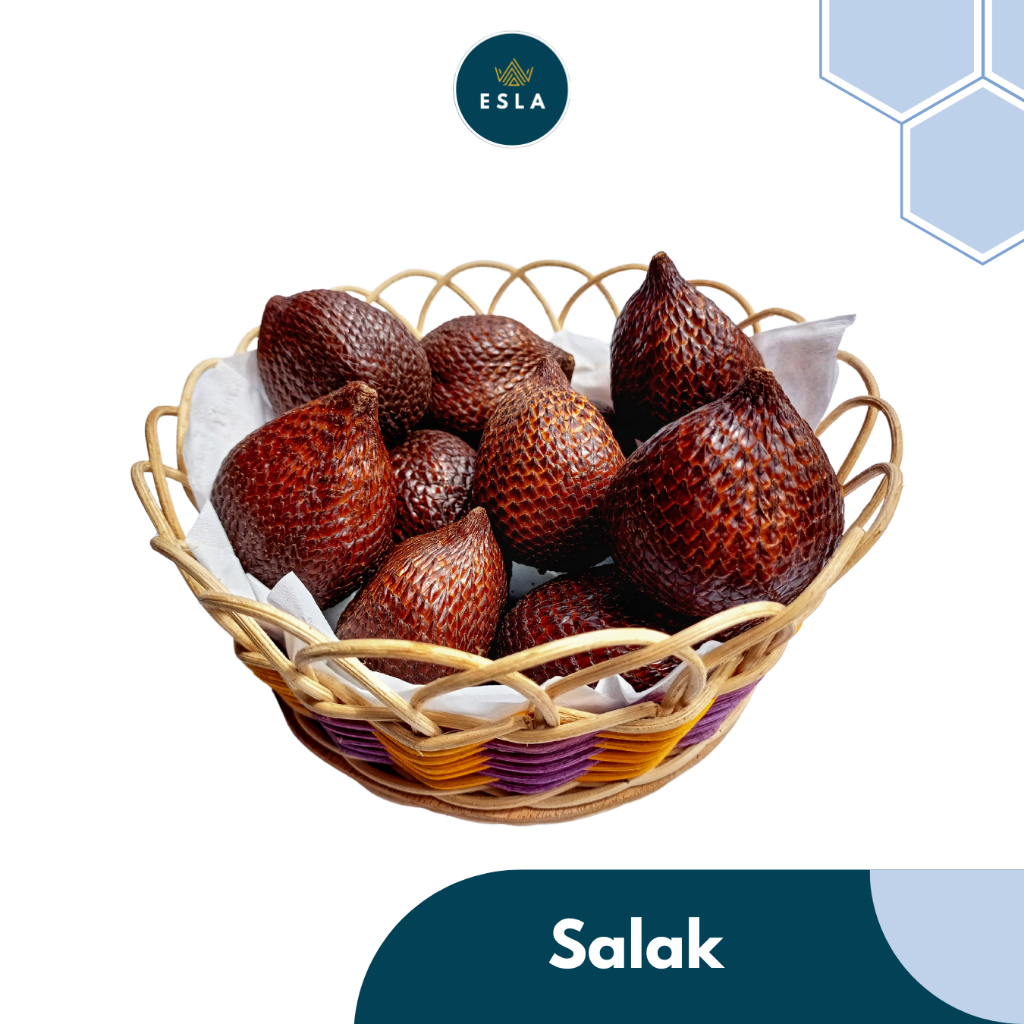 Jual SALAK 1 KG I Buah Fresh dan Premium - ESLA | Shopee Indonesia