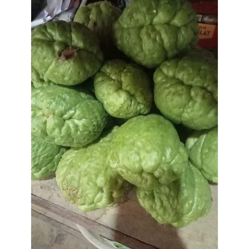 Jual WALUH ( LABU SIAM JUMBO ) LABU SIAM SAYURAN SEGAR KEMASAN 500 DAN ...