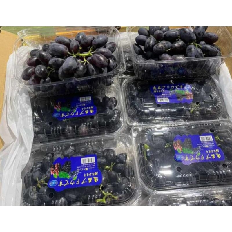 Jual Anggur Autumn Pack | Anggur autumn | anggur manis | Shopee Indonesia