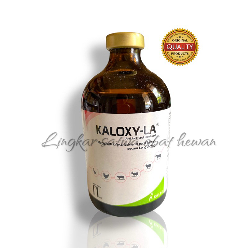 Jual Kaloxy LA 100 ml / Obat pernafasan pencernaan hewan / Kalbe Farma ...
