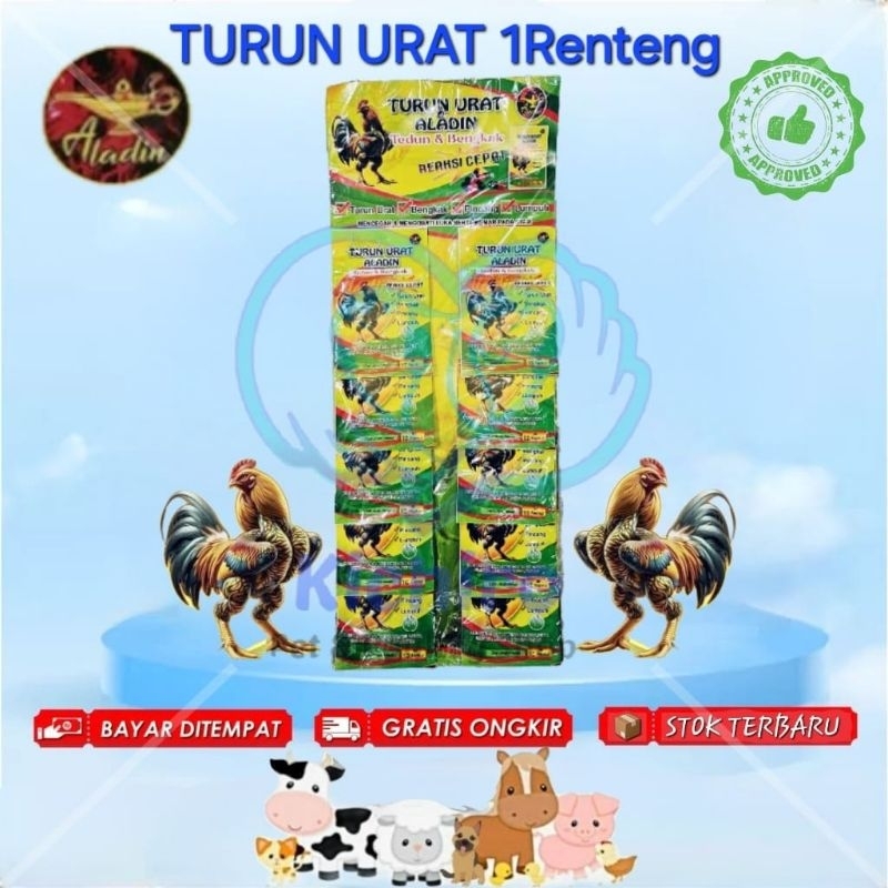 Jual Turun Urat Sachet 1 Renteng Aladin ( Isi 10 pcs ) Obat Turun Urat ...