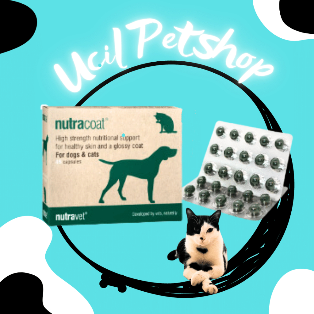 Jual Nutracoat Vitamin Suplemen Kulit & Bulu Kucing Anjing Pengganti ...