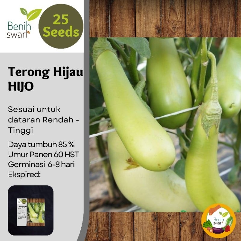 Jual Benih Swari: (isi 25 butir) Benih Terong Hijau HIJO / Jenis buah pendek | Shopee Indonesia