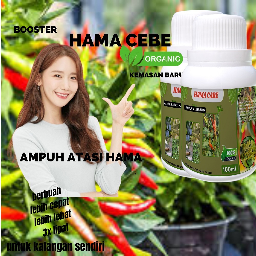 Jual Pupuk Cabe Obat cabe Anti Keriting Semprot Organik Anti Hama ...