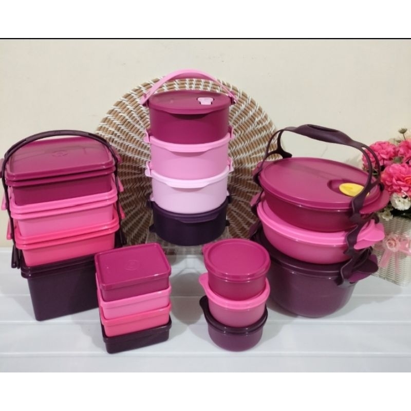 Jual Carry All Bowl/Double Sweet/ click to go/rantang Tupperware/fun ...