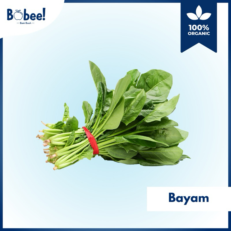 Jual Bayam Super 1 Ikat Fresh & Premium | Bobee.official - (Instant ...