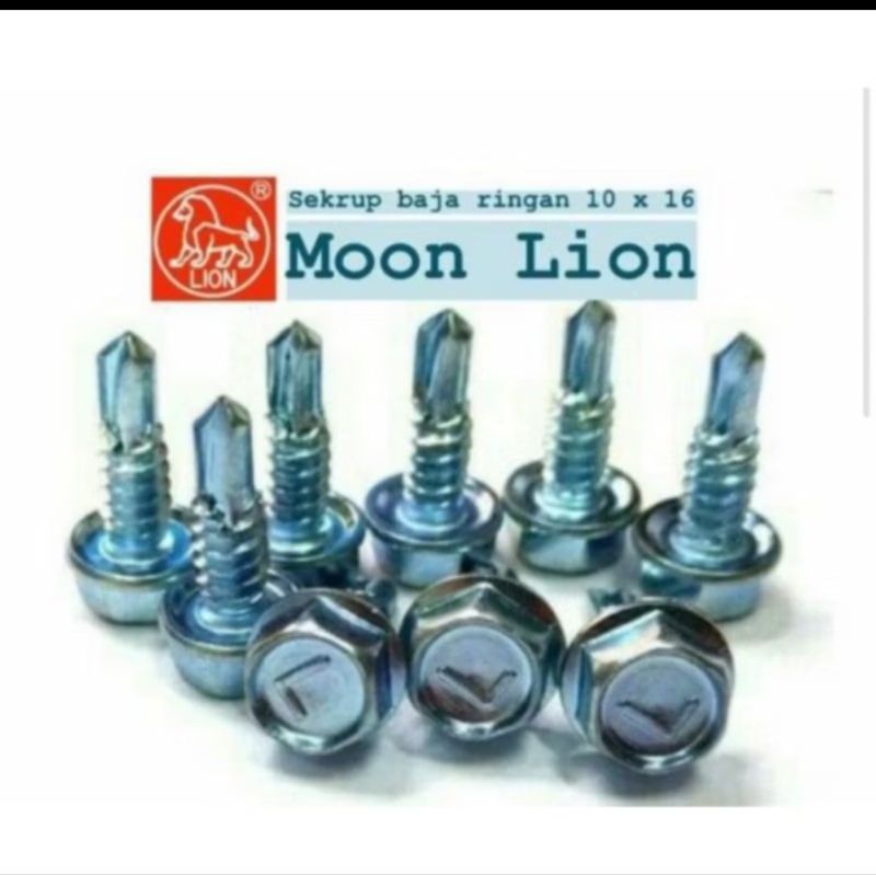 Jual 1kg baut Roofing baja ringan 10 x 19mm (L)moon lion skrup sekrup taso tasso ruping | Shopee ...
