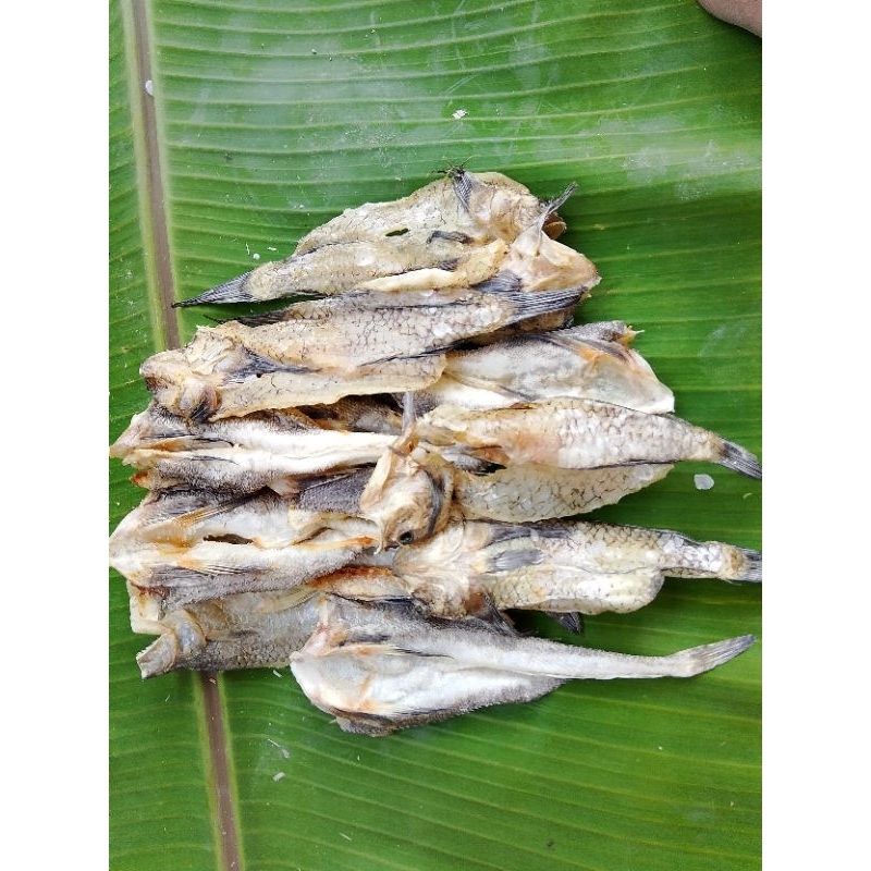 Jual Ikan Asin kering gabus | Shopee Indonesia
