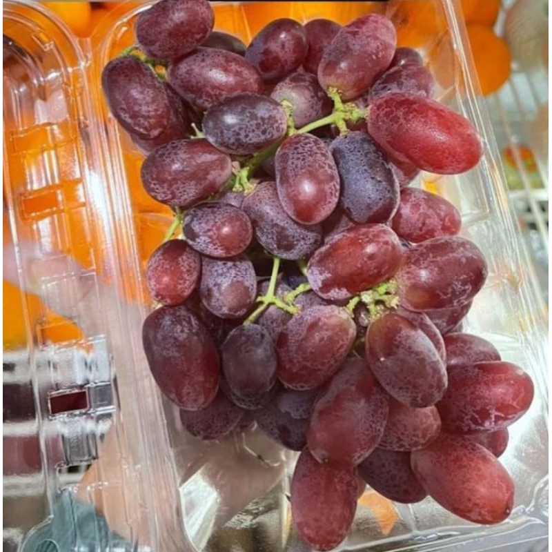 Jual RED CRIMSON | Anggur red crimson pack | Shopee Indonesia