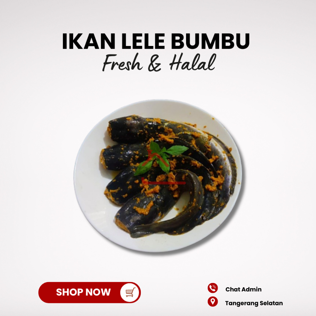 Jual Ikan Lele Fresh Bumbu Kuning isi 4 Siap Goreng Tangerang Selatan ...