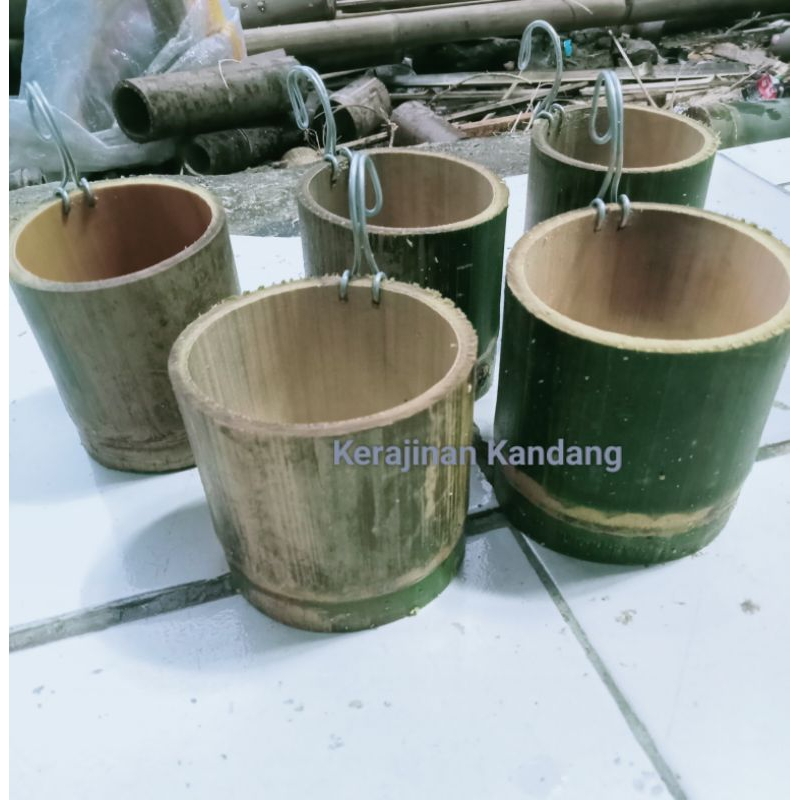 Jual Tempat Makan minum ayam,Burung Dari Bambu | wadah pakan tipe sedang | Shopee Indonesia