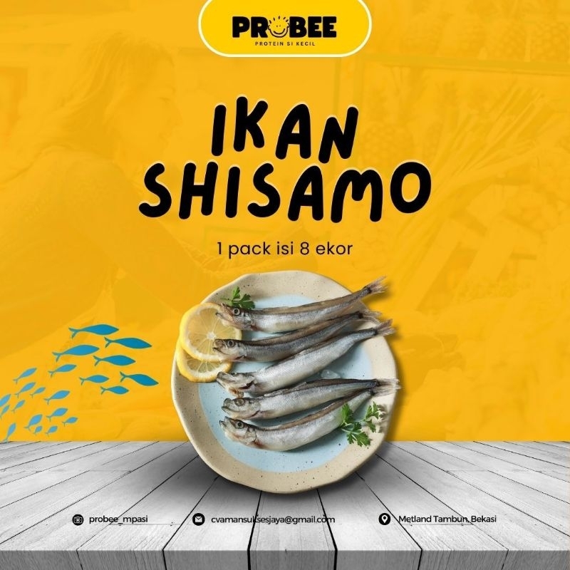 Jual Ikan Capelin /Shisamo Fish /Capelin Fish Premium Beku Frozen ...