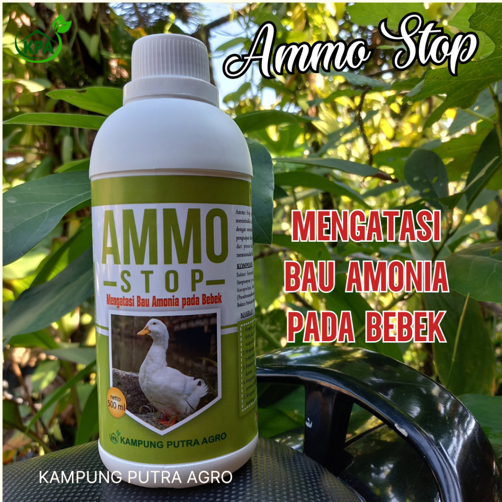 Jual Penghilang Bau Amonia Bebek - Menghilangkan Bau Kotoran pada Kandang Bebek - AMMO STOP ...