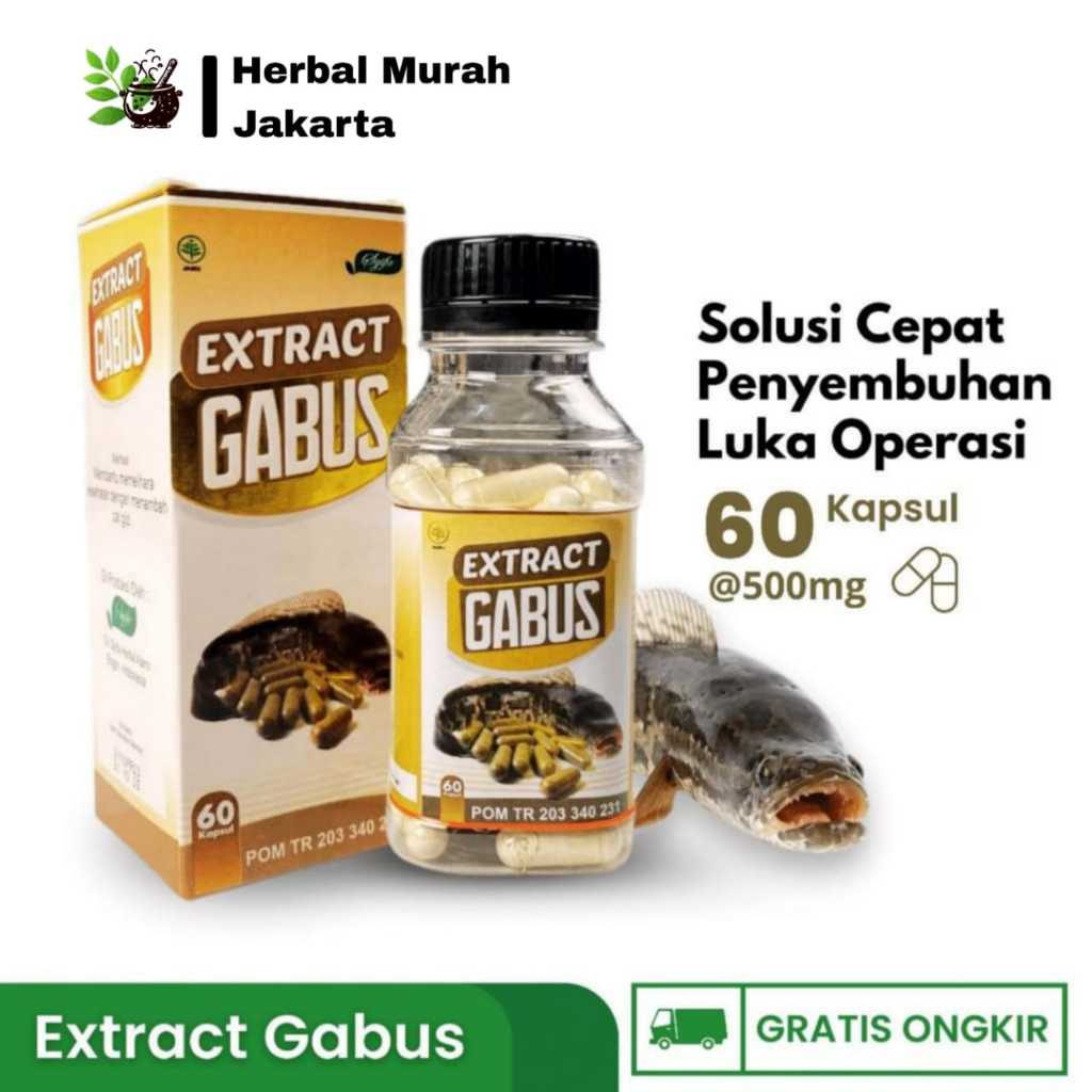 Jual Kapsul Ikan Gabus - Ekstrak Ikan Gabus Pasca Operasi Syifa 60 ...