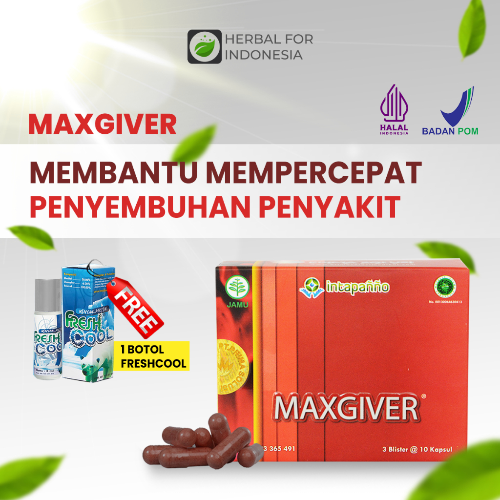 Jual MAXGIVER OBAT HERBAL HEPATITIS LIVER GINJAL 30 KAPSUL ORIGINAL ...