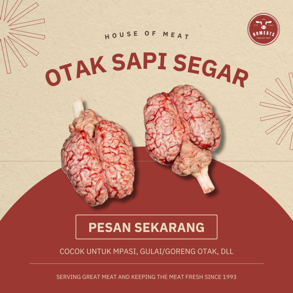 Jual Otak Sapi Segar Fresh Utuh Untuk Mpasi Gulai Goreng | Shopee Indonesia