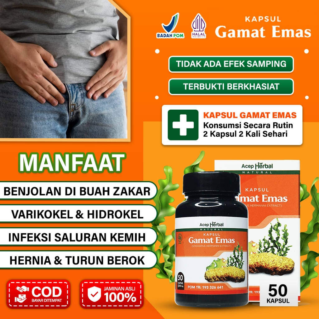 Jual Hernia Herbal obat turun berok benjolan buah zakar varikokel ...