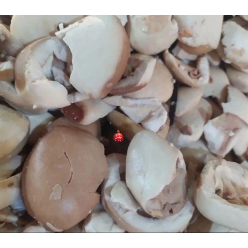 Jual picung muda segar per 1kg | Shopee Indonesia