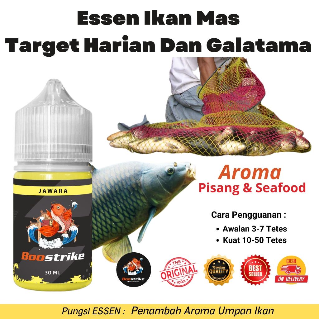 Jual Essen Ikan Mas Indukan Dan Rame Aroma Amis Wangi Paling Terlaris ...