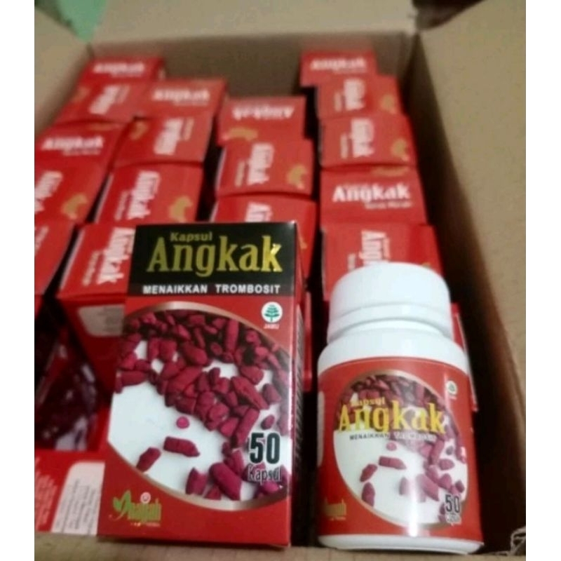 Jual ANGKAK MERAH | Angkat Kapsul Meningkatkan Trombosit dan Obat Tipes ...