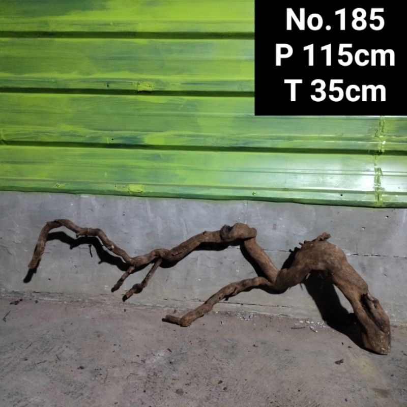 Jual kayu santigi laut akar santigi laut aquascape aquarium 185 ...