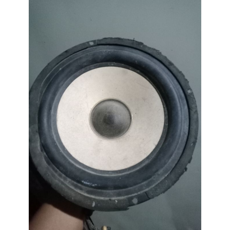 Jual SPEAKER POLYTRON COPOTAN 8 INCH NORMAL TOTAL | Shopee Indonesia
