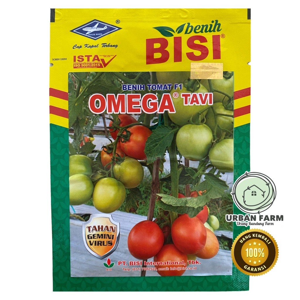 Jual Benih Tomat F1 OMEGA TAVI 5gram / 10gram - Benih Tomat Besar ...