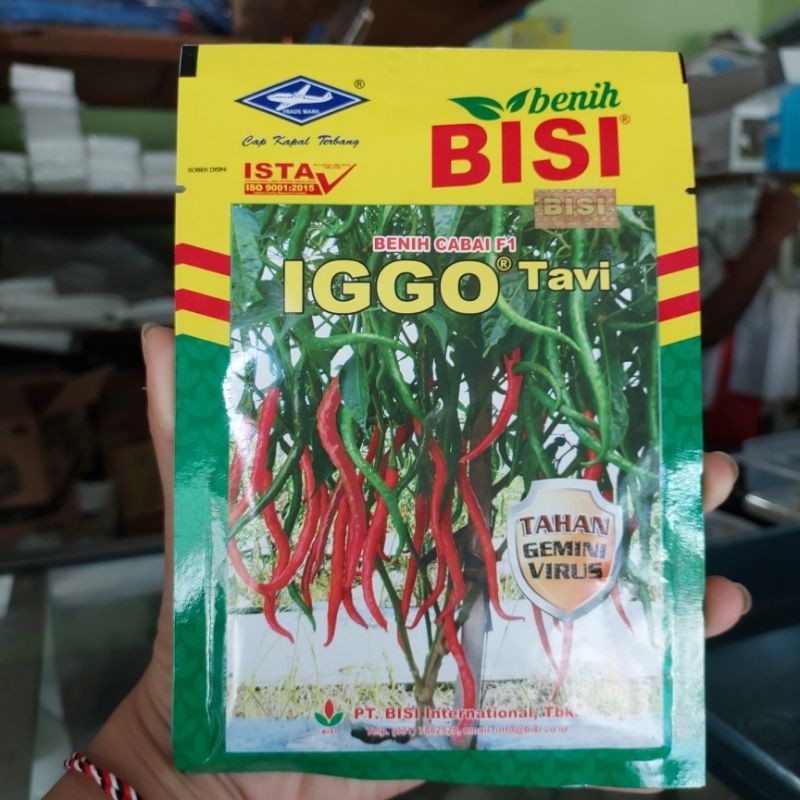Jual BENIH CABAI F1 IGGO TAVI 10 GRAM KAPAL TERBANG | Shopee Indonesia