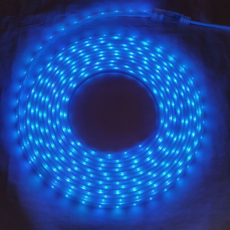 Jual Lampu LED Strip Selang SDM 10M 220V Indoor & Outdoor 10 Meter Biru ...