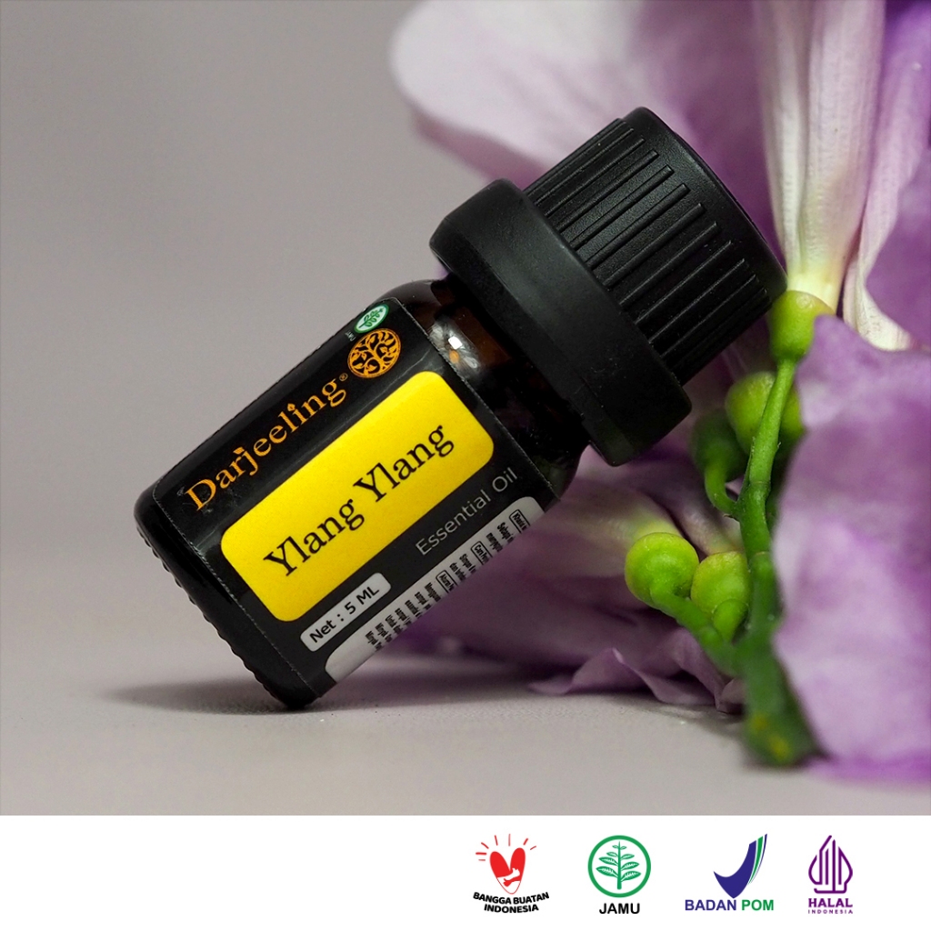 Jual Darjeeeling Ylang Ylang Pure Essential Oil / Minyak Kenanga ...