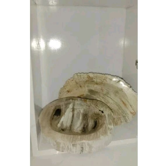 Jual asbak dari batu sempur/fosil alam | Shopee Indonesia
