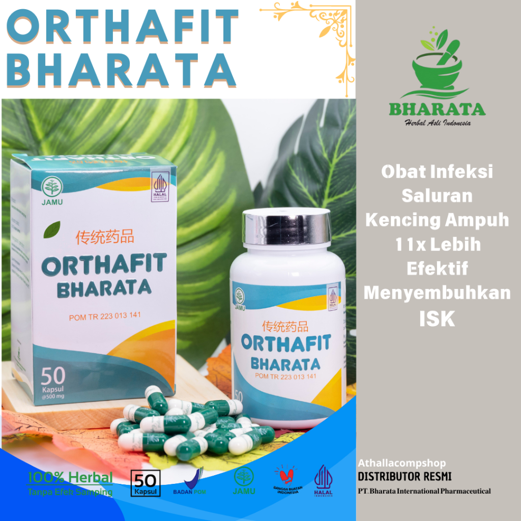 Jual Orthafit Bharata Obat Infeksi Saluran Kemih ISK Herbal Ampuh Kemasan 50 Kapsul Original ...