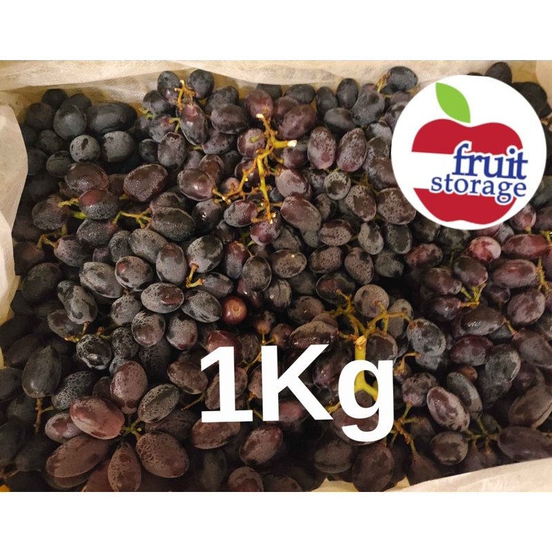 Jual Buah Anggur Hitam Seedless 1kg Import Egypt tanpa biji impor Mesir ...