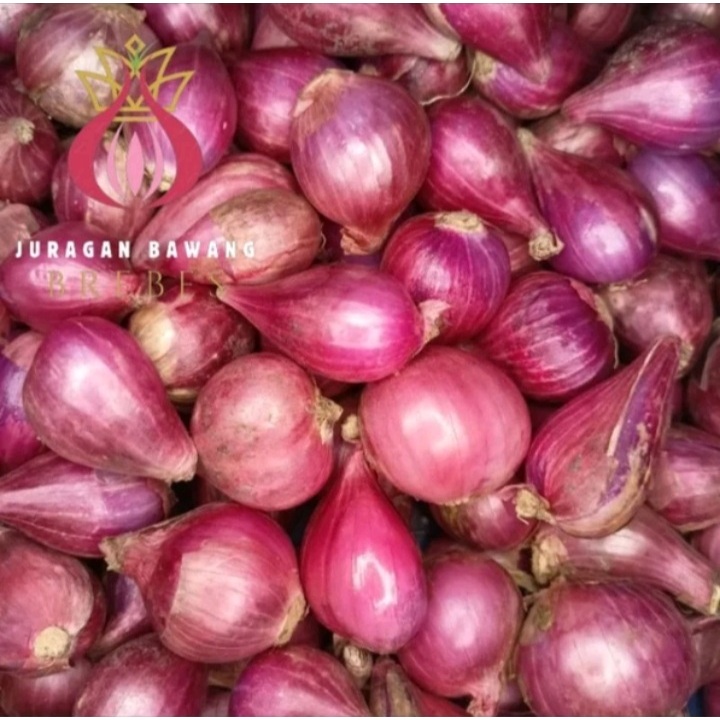 Jual bawang merah super // bawang merah berebes / bawang merah 1 kg ...