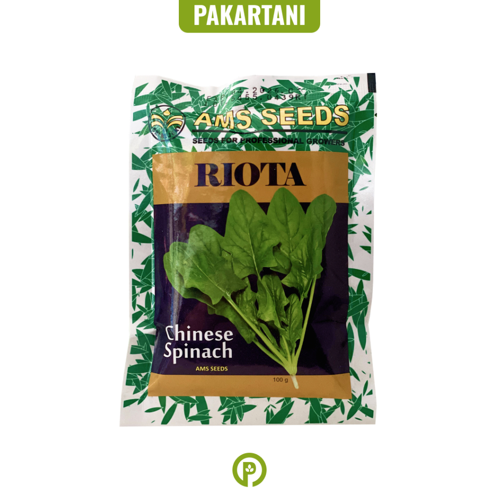 Jual RIOTA Benih Bayam Hijau Chinese Spinach AMS Seeds | Shopee Indonesia