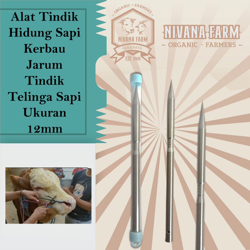 Jual Alat Tindik Hidung Sapi Kerbau Jarum Tindik Telinga Keluh Sapi ...
