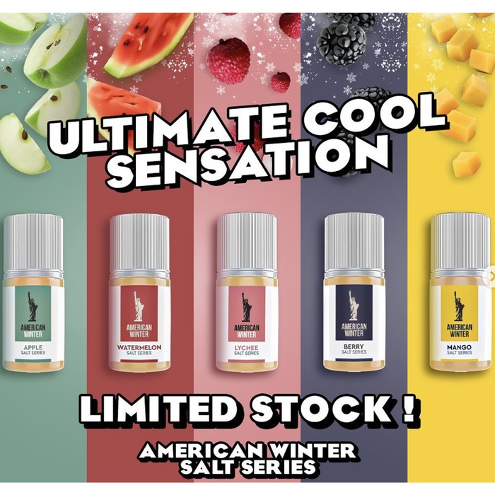 Jual AMERICAN WINTER SALTNIC 30ML authentic | Shopee Indonesia