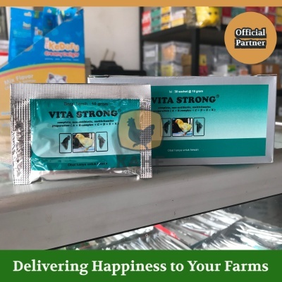 Jual Vita Strong 10 gram 1 DUS isi 30 Multivitamin Ayam [KAHF PS ...
