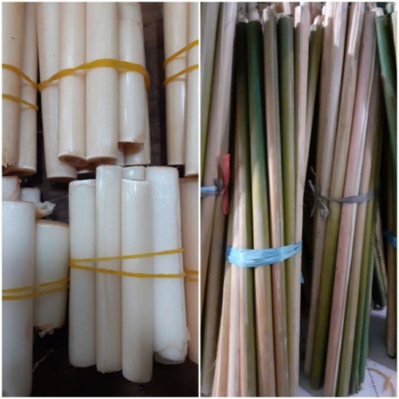 Jual batang rias kecombrang segar 1kg | Shopee Indonesia
