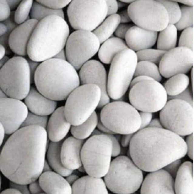 Jual Batu untuk hiasan Taman Koral Putih Kupang ukura batu 2-3cm (5,8 ...